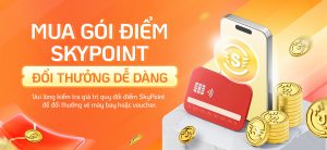 Mua SkyPoint - SkyJoy